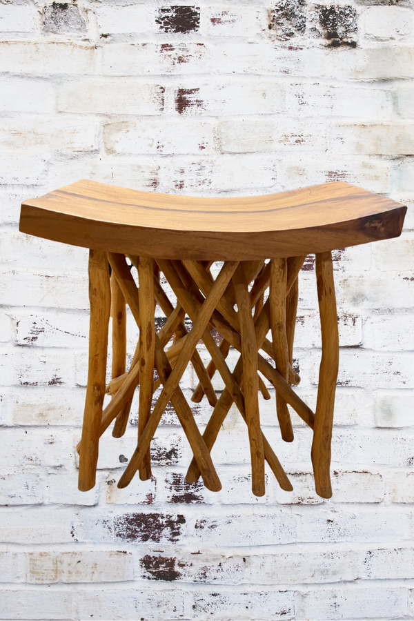 Twisted Branch Bench – Imagine That